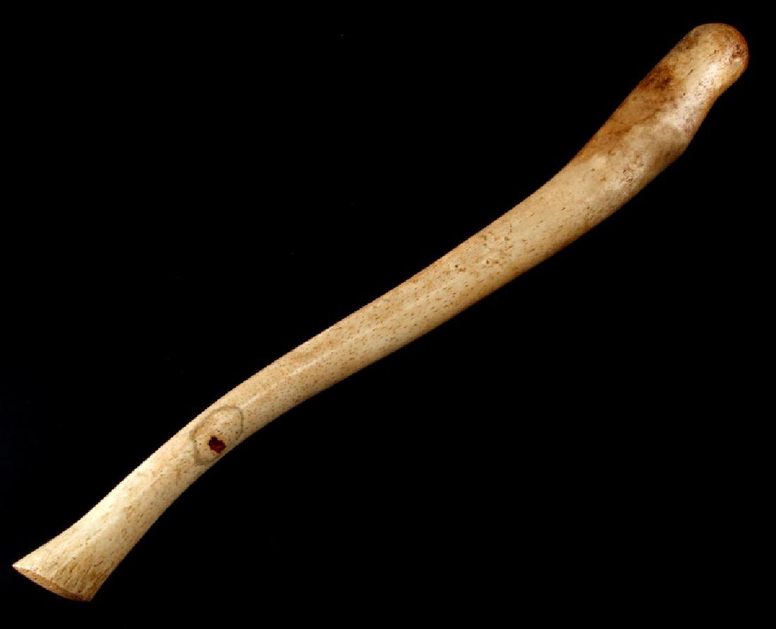 162. Bull Penis Cane-Ca. 1930-A bull penis which has a