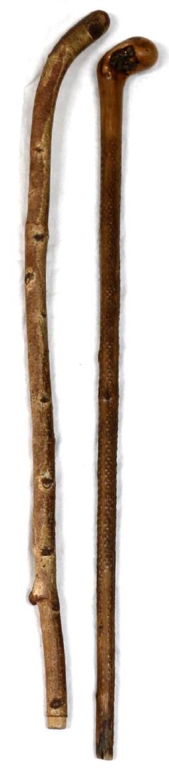 PAIR OF ANTIQUE NATURAL CANES UNIQUE WOOD TYPE