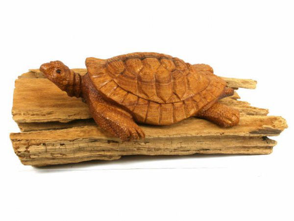 Hand Carved Cedar Sea Turtle On Driftwood Mount