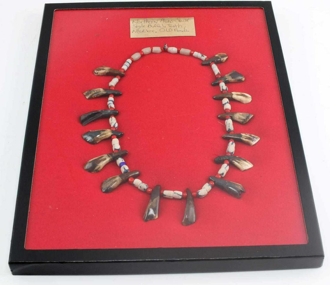 Native American Sioux Buffalo Tooth Necklace