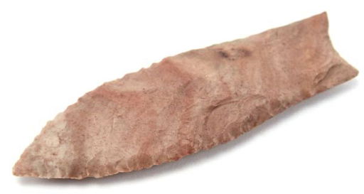 FLORIDA SIMPSON ARROWHEAD EX SCOTT YOUNG