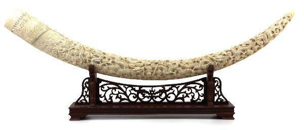 Large Old Ivory Carved Elephant Tusk