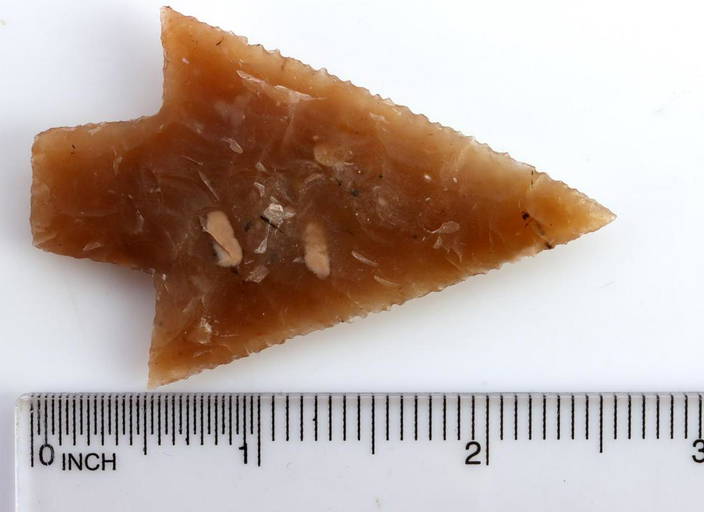 NATIVE AMERICAN ARCHAIC FLORIDA ARROWHEAD (#1189) on Jan 10, 2023 ...