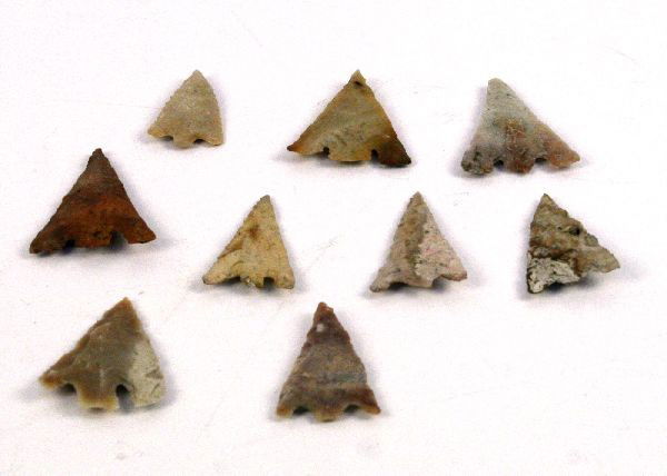 FLORIDA HERNANDO ARROWHEAD LOT OF 9