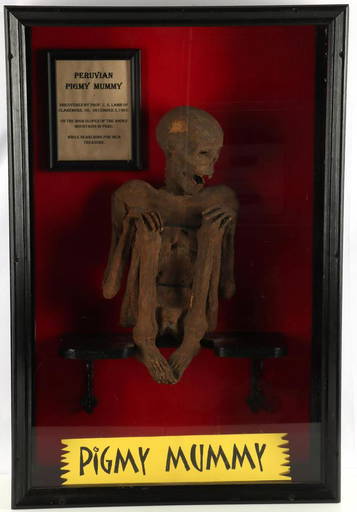 Pygmy Mummy Prof. C.s. Lamb High Andes Find