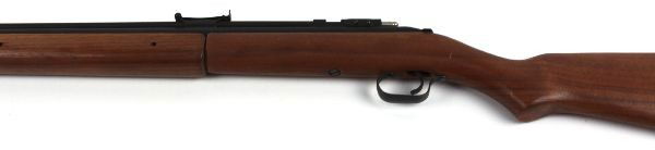 BOLT ACTION VARIABLE PUMP PELLET GUN : Lot 5556