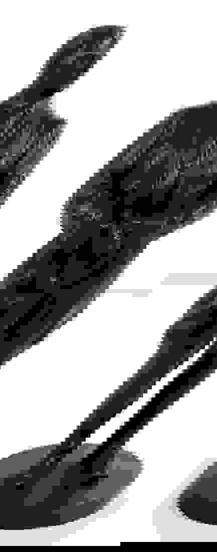 Wwii German Adolf Hitler Bronze Statue Auction