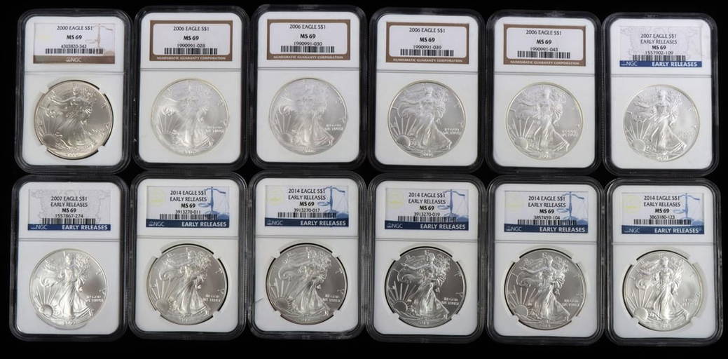 12 American Eagle 1 Oz Silver Coins Ncg Graded