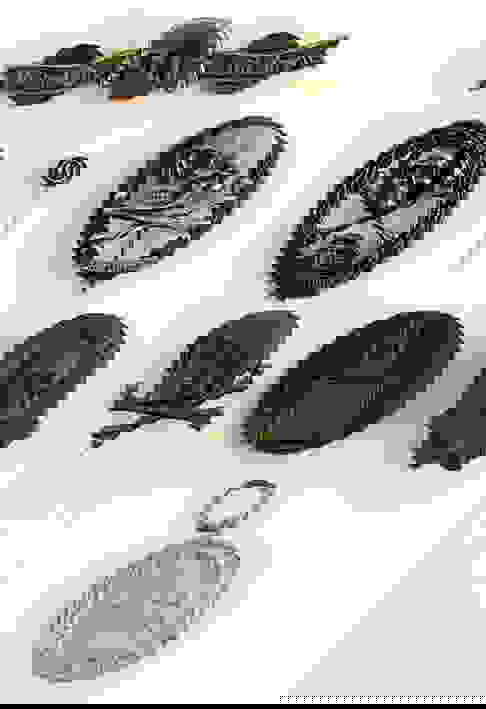 8 Wwii German Reich Sturmtruppe & Waffen Ss Badges Auction