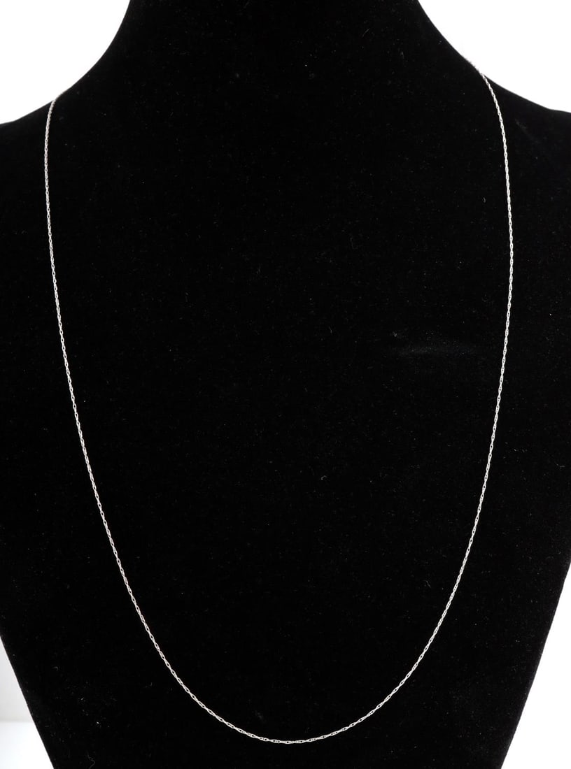 14k White Gold Rope Chain 21 Inch Auction