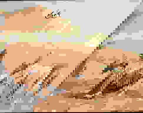 Early Photo Lakota Chief Three Bears With Squaw Auction