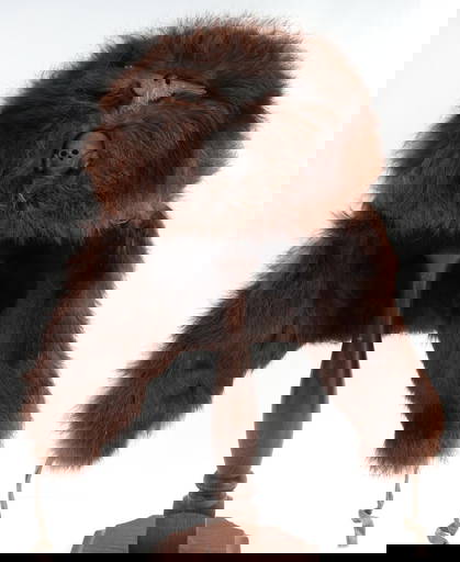 Wwii German Ss Rabbit Fur Winter Hat