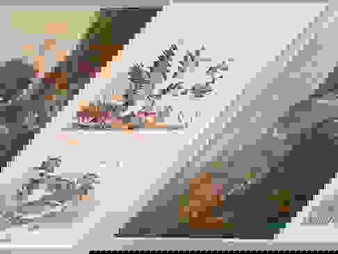 Wildlife Print Lot Signed Patrick Costello Iowa Auction