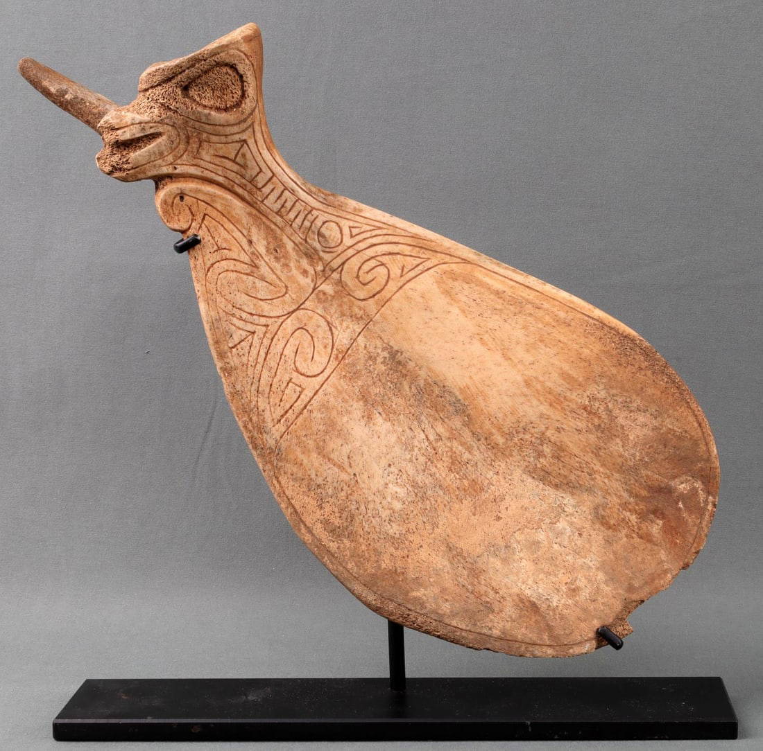 Taino Precolombian Carved Symbolic Manatee Scapula Auction