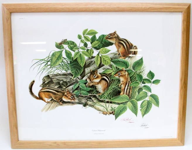 Richard Timm Signed Animal Print Eastern Chipmunk
