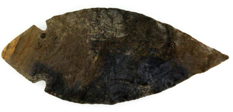 Tupelo Mississippi Turkey Tail Arrowhead