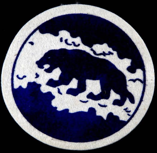 Us Air Force Wwii 46th Fighter Squadron Patch