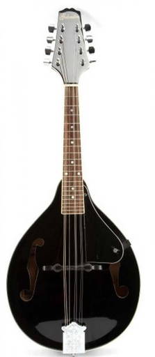 Galveston 8 String A Style Mandolin