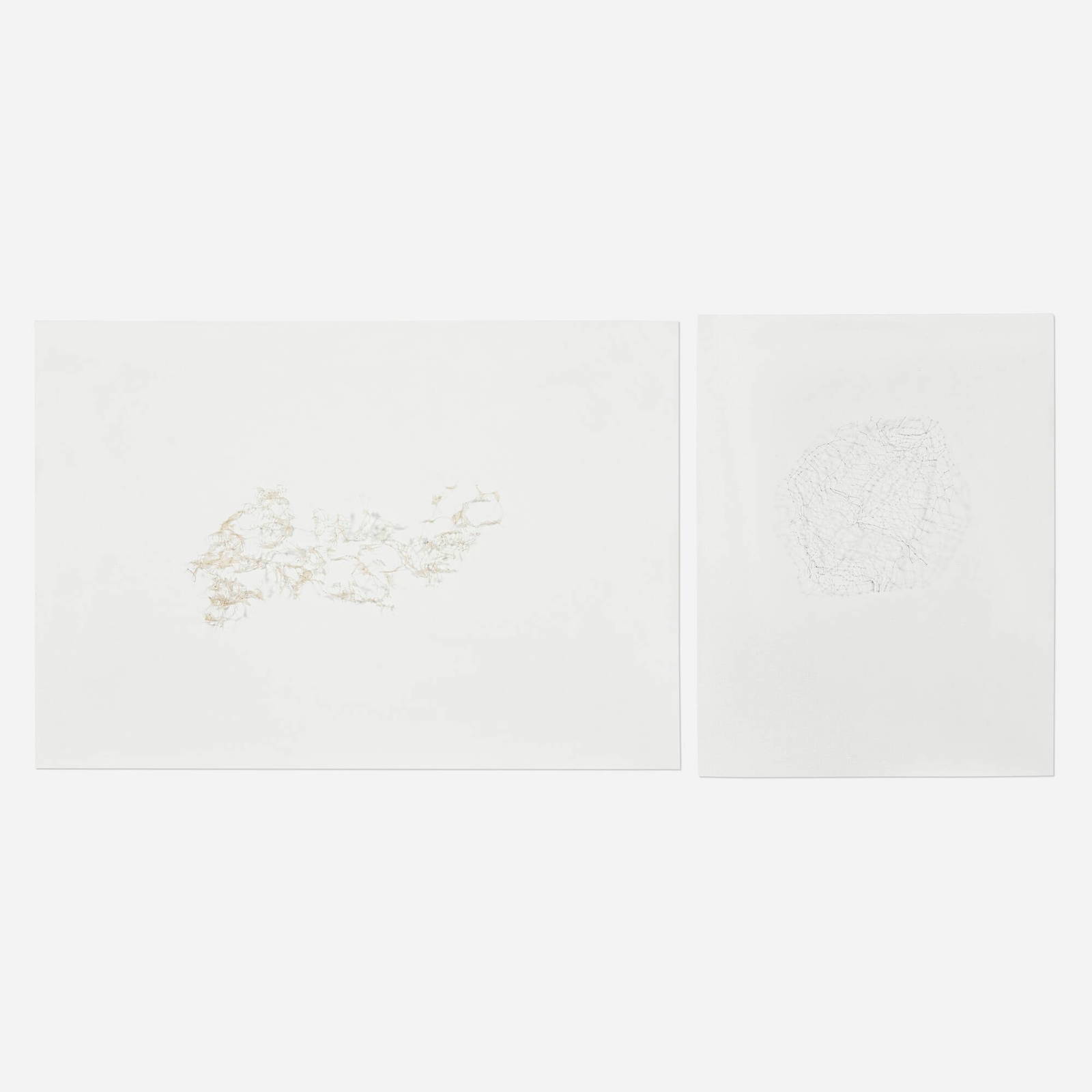 Suzanne Duncan, Skeleton Leaf 4; Untitled (produced From A Performance ...