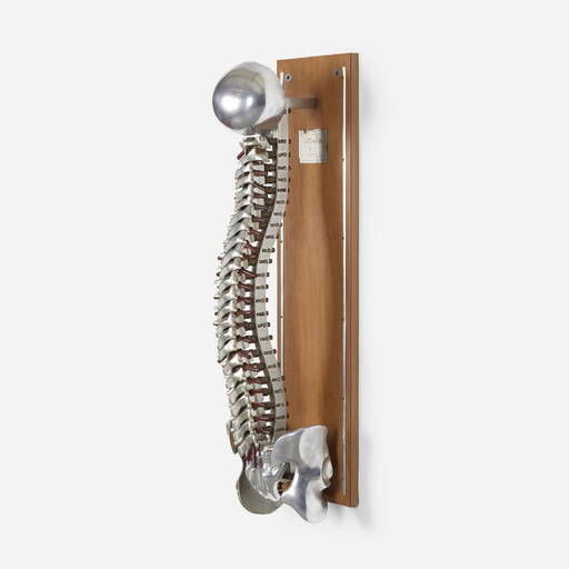 Dr. Thurman Fleet, Fleet's Spinal Demonstrator