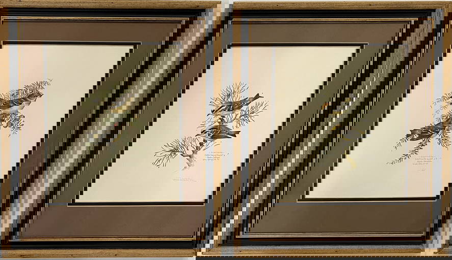 Don Whitlatch Ruby Crowned Kinglet Original Signed 1978