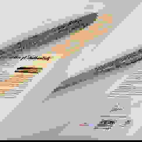 Hall Of Famers Multi-signed Baseball Bat W/18 Signatures Including Cal ...