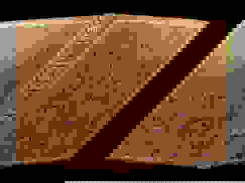 1622 First Edition The Compleat Gentleman By Henry Peacham. Rare ...