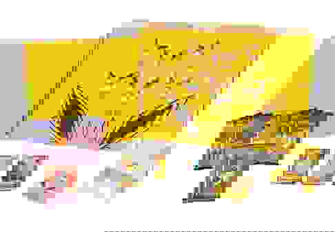 Pokemon Tcg S-chinese Eevee Gx Gift Box Jolteon Box Exclusive Brand New ...