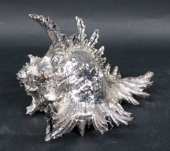 Scully & Scully Sterling Spiky Conch Shell