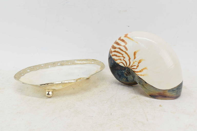 Ruzzetti And Gow Silver Overlay Nautilus Shell