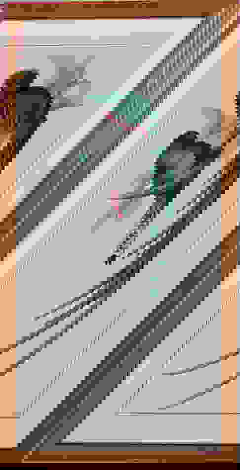 J. Gould, Lithograph, Trogon Resplendens Auction