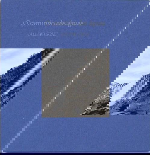 Valdir Cruz, Brazilian 1954 , O Caminho Das Aguas (the Path Of The Waters)