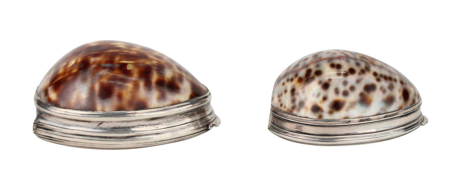 Two Silver Mounted Cowrie Shell Snuff Boxes Auction
