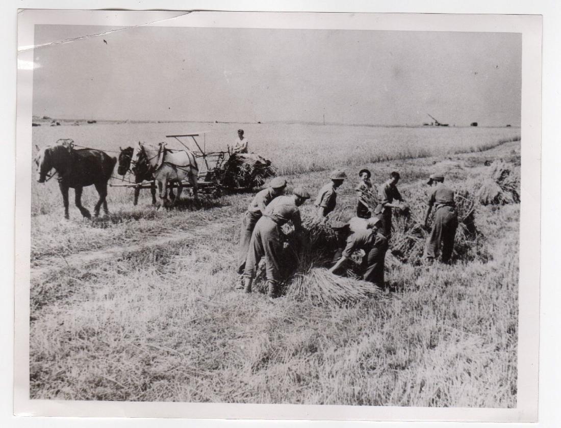 British Soldiers Help French Farmers With Harvest 1944 - Aug 01, 2018 ...