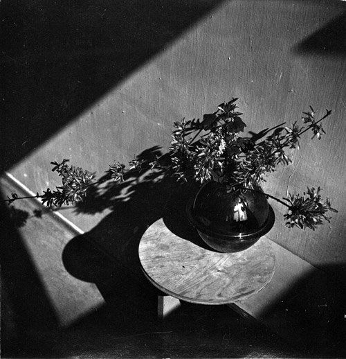 Pap, Gyula: Flower Still Life