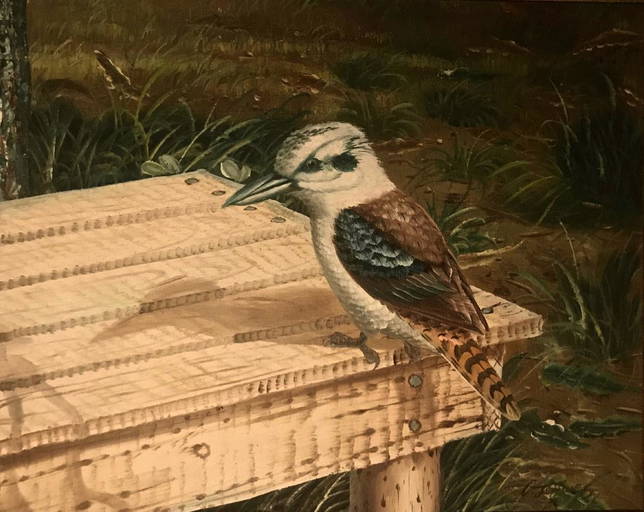 Laughing Kookaburra Oil Painting C. Jeffares