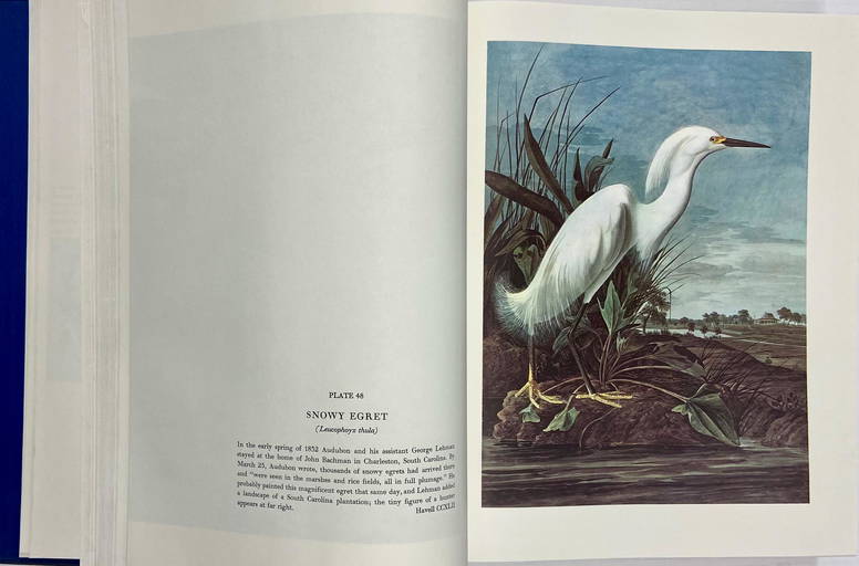 John James Audubon Birds Of America, 1966