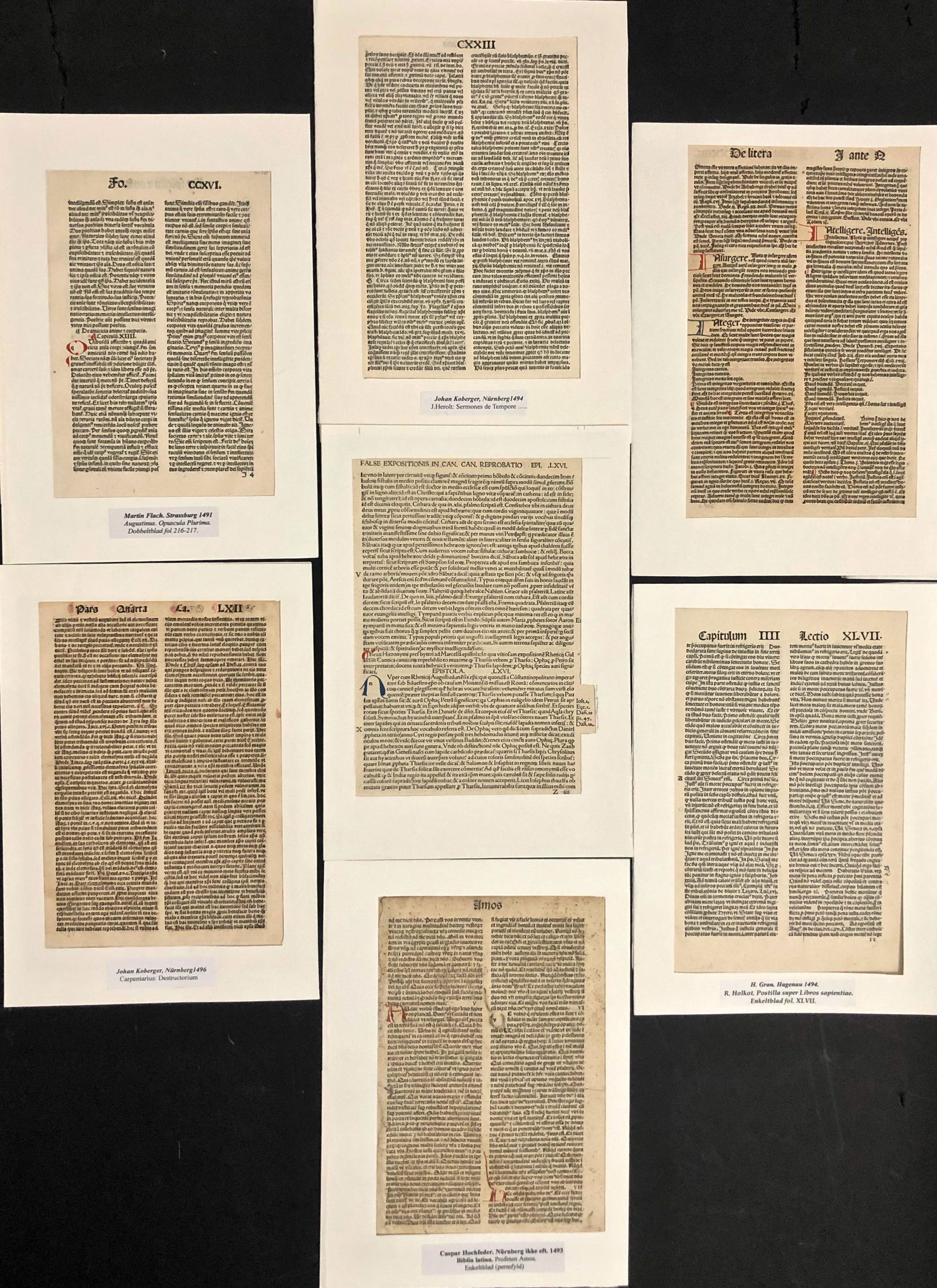 Collection Of Medieval Incunabula Leaves