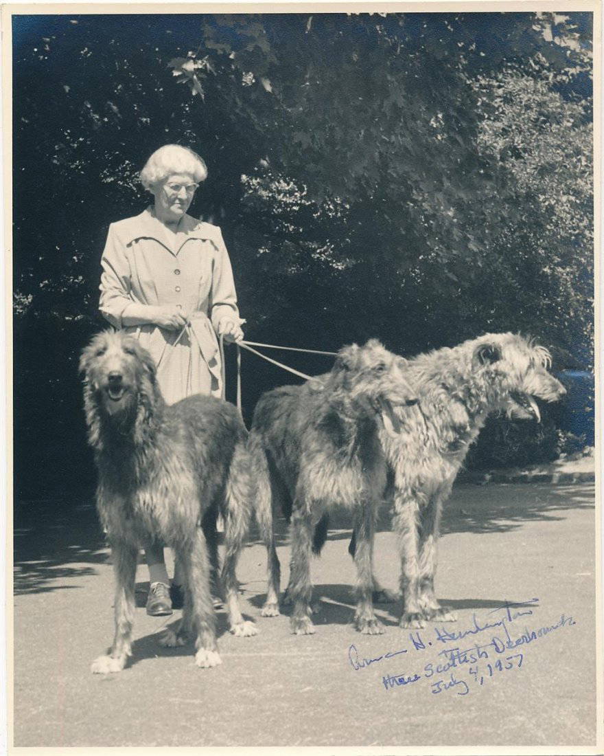 Anna Hyatt Huntington-vintage 1957 Signed Photograph (famous Nyc Sculptor) Auction