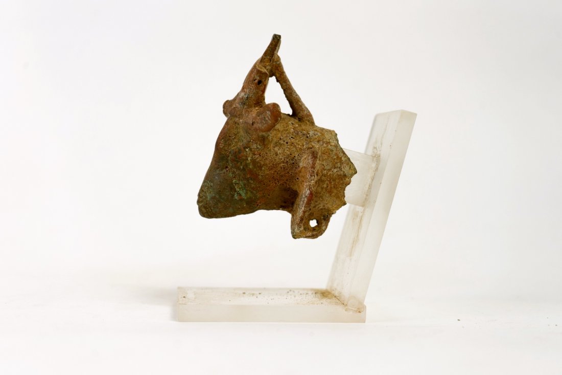 Ancient Egyptian Bronze Apis Bull Head c.700 BC