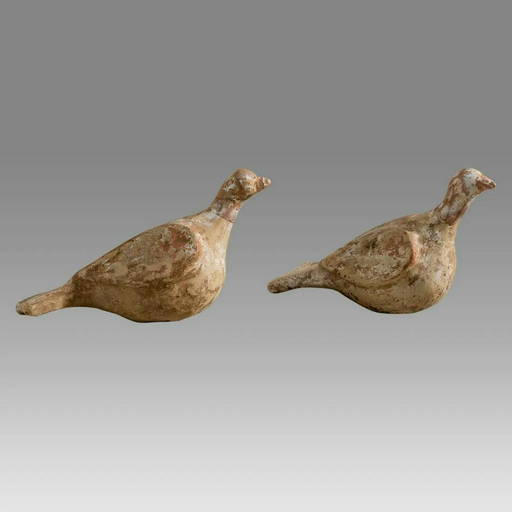 Ancient Pair of Canosan Pottery Doves, 3rd-2nd Century BCE. (#0208) on ...