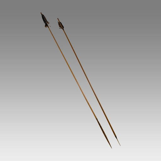 Amazonian Two Amazonian basin arrows, one with bone tip. - Dec 04, 2022 ...