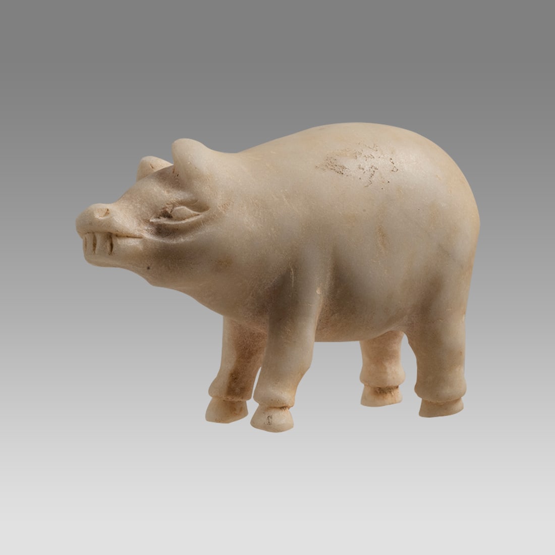 Ancient Holy Land Roman Stone Boar C.1st Century Ad. Auction