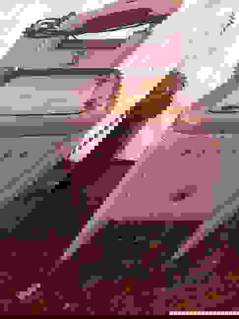 Vintage Maytag Washing Machine Auction