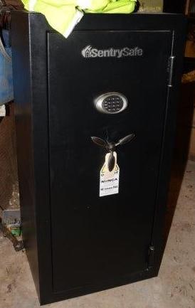Sentrysafe Gun Safe Auction