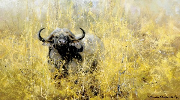 DAVID SHEPHERD (British 1931-2017) A PAINTING, "Bull - May 19, 2018 ...