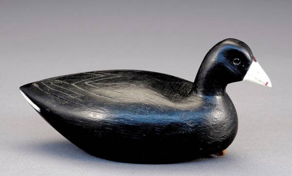 Coot Decoy, By Charles Seidel