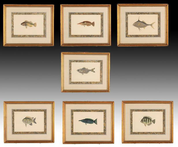 Set 7 Framed Antique Colored Lithographs Fish
