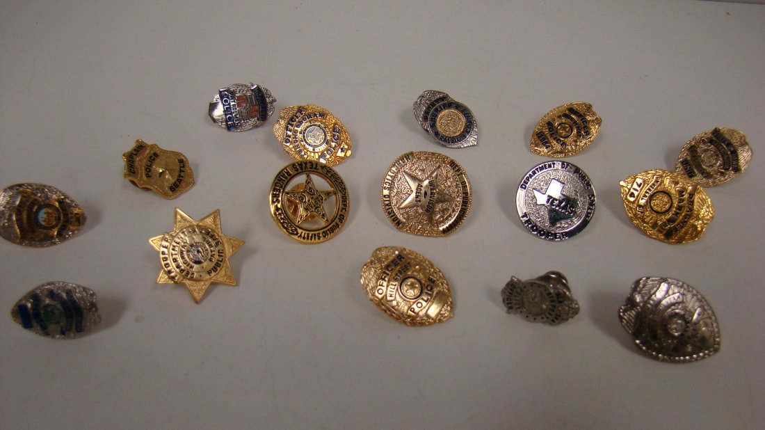 16 Various Law Enforcement Pins