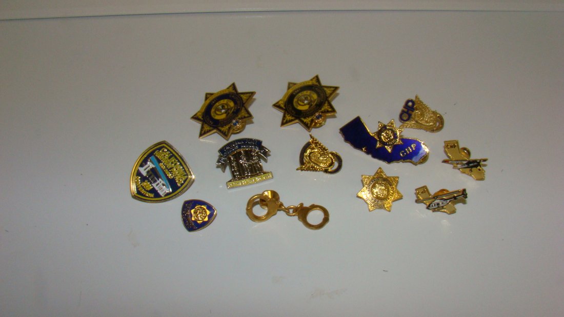 12 Various Chp Pins